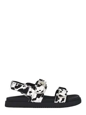 Steve Madden Mona Sandal - Black & White