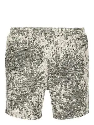 SAMSOE SAMSOE Sajabari Shorts - Sunflower