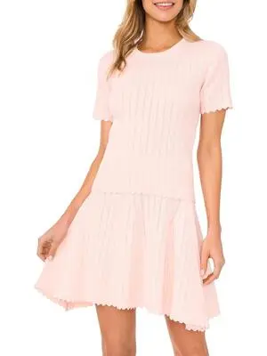 Ted Baker London Ribbed Short Sleeve Sweater Pale Pink