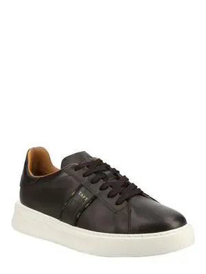 Taft Leather Sneakers - Chocolate