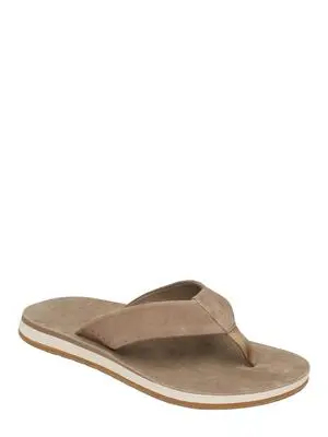 Reef Ojai Classic Flip Flop - Brown Suede