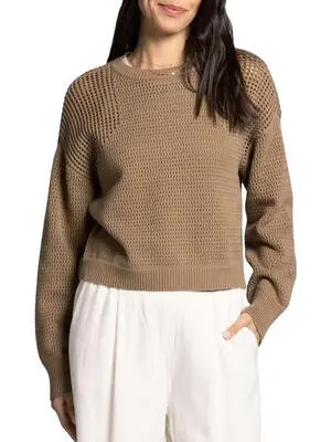THREAD & SUPPLY Jasmine Cotton Mesh Sweater Oak