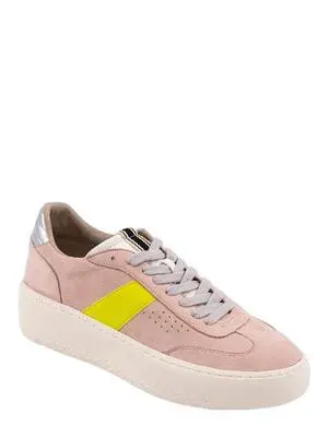 SHU SHOP Stacey Platform Sneaker Blush Suede