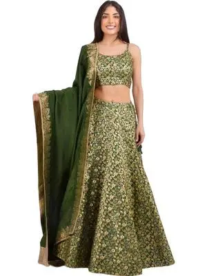 RAAS Banarasi Lehenga Choli Set - Green