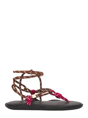 Flowze Flo Twin Sandal - Brown & Raspberry