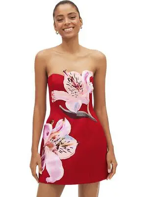 LEO LIN Rosario Floral Appliqué Mini Dress - Lily Print In Oxblood