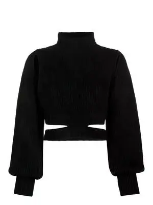 ANDREĀDAMO Roll-neck Cropped Knit Jumper - Black