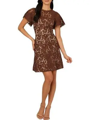 Adrianna Papell Flutter Sleeve Lace Dress - Espresso