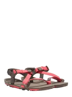 XERO SHOES Z-trail Ev Barefoot Sandal - Sunset Coral / Morel