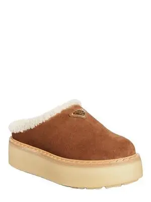 Prada Evolve Genuine Shearling Clog Cacao