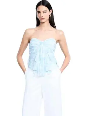 Bcbgmaxazria Printed Mesh Corset - Sky Floral Print