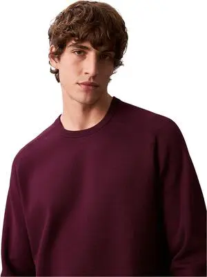 Calvin Klein Crewneck Sweater - Passion Plum