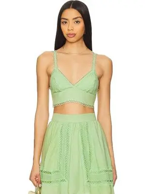 Peixoto Jasmine Crop Top - Matcha Latte