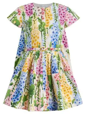 Oscar De La Renta Foxglove Printed Cotton-poplin Mini Dress - Multi