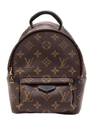 LOUIS VUITTON Palm Springs Monogram Mini Backpack Multicolor