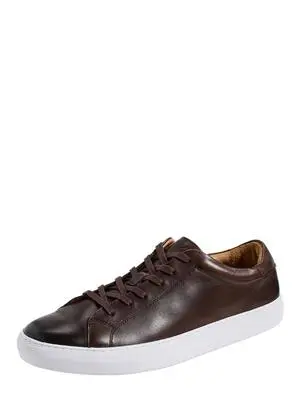 Polo Ralph Lauren Jermain Ii Leather Sneakers - Polo Brown