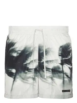 STAMPD Palms In Motion Trunk - Palms Motion Print