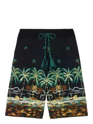 Alanui The Tale Of A Hawaiian Shorts - Blue