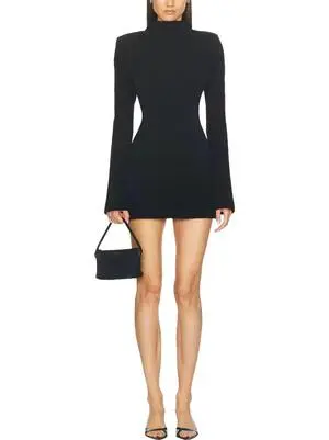 AEXAE Turtleneck Long Sleeve Dress