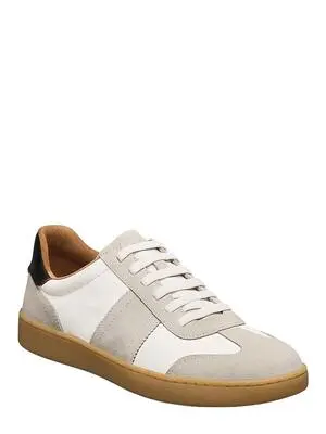 Allen Edmonds Ludlow Stretch Lace Sneakers - Dove
