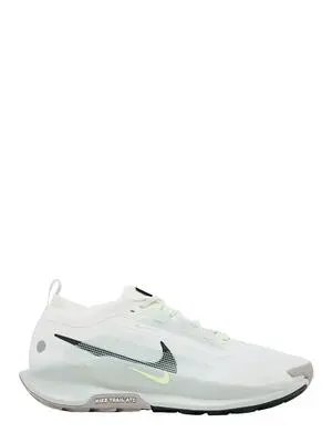 Nike Pegasus Trail 5 Gore-tex Sneakers - Grey