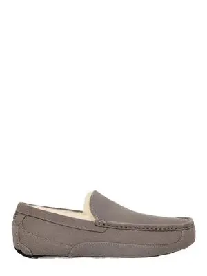 UGG Ascot Slipper - Grey