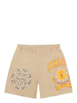 StÜssy Gym Short - Tan