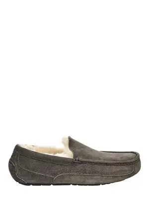 UGG Ascot Slipper Grey