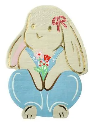 DAYDREAM SOCIETY Bunnies In The Garden Large Napkins - Asssorted Pre-pack
