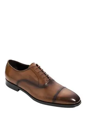 To Boot New York Frankie Cap-toe Oxford - Crust Aero Tabacco