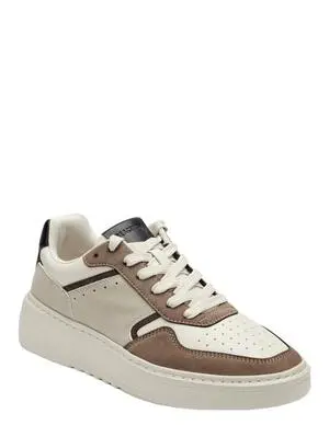 KENNETH COLE Dover Low Top Sneaker - Ivory