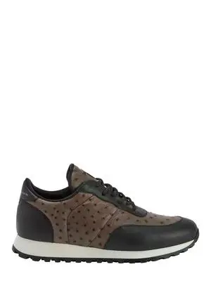 GIUSEPPE ZANOTTI Jimi Ostrich-leather Sneakers - Brown