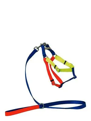 WARE OF THE DOG Nylon Colorblock Harness - Blue/orange/yellow