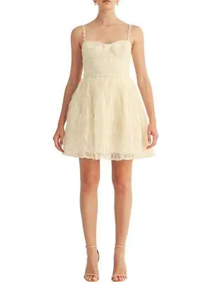 AROSE STUDIO Love Bustier Fit & Flare Dress - Cream