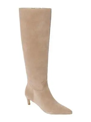 Matisse Elevate Pointed Toe Knee High Kitten Heel Boot - Taupe
