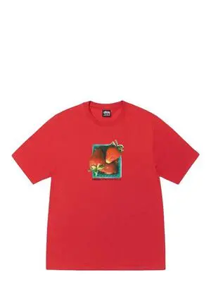 StÜssy Berries Tee Shirt - Cayenne