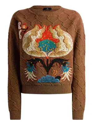Etro Cable-knit Floral-embroidered Sweater - Brown