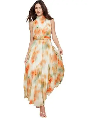 Banana Republic Chiffon Maxi Dress - Floral