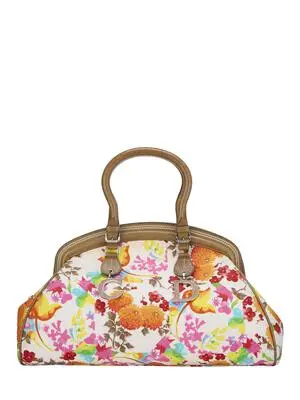 Dior Floral Canvas Frame Satchel Handbag - Multi