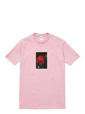 Supreme Akari Rose Tee Shirt Dusty Pink
