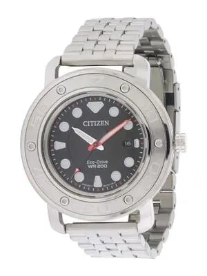 Citizen Watch - Stainless Steel