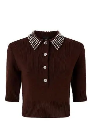 Pinko Emilia Rhinestone Embellished Sweater - Brown
