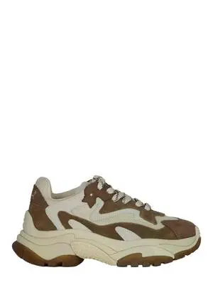 Ash Lace-up Platform Sneakers - Brown