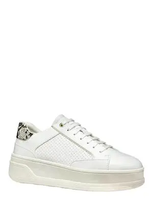Geox Spherica Ecub-2 Platform Sneakers - White