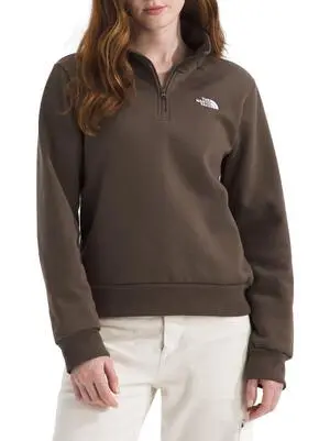 The North Face Evolution Quarter Zip Pullover - Smokey Brown