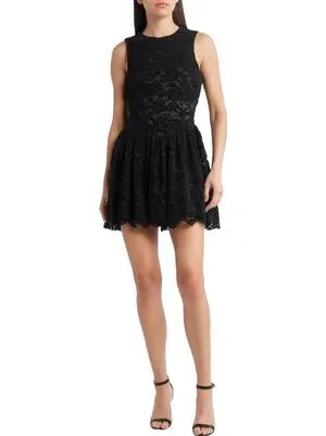 Likely Elisie Lace Fit & Flare Cocktail Dress - Black