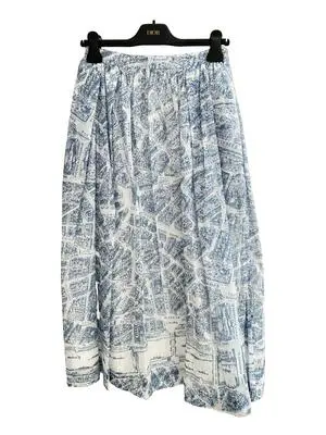 Dior A-line Midi Skirt - Blue And White