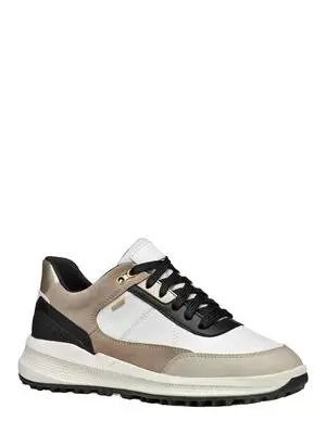 Geox Leather Panelled Sneakers - White