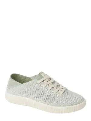 Reef Neptune Knit Sneaker - Sage Heather