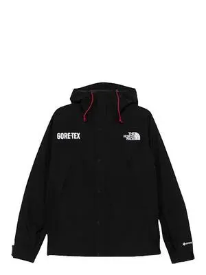 The North Face Gtx Mountain Jacket - Black/tnf Black